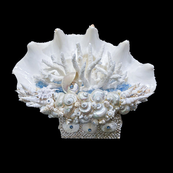 Aquamarine King Clam Shell Centerpiece Featuring Premium Crystal & Nat ...