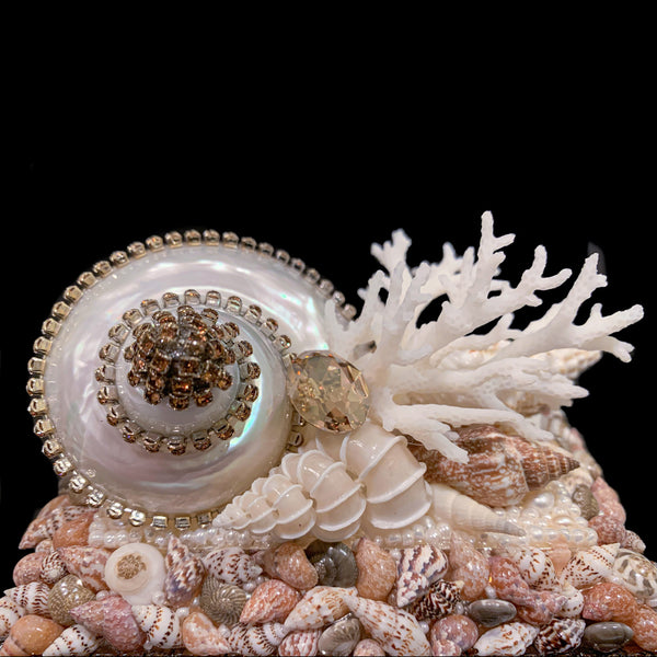 Topaz Shell Cluster Keepsake Box Featuring Premium Crystal – Isabella ...